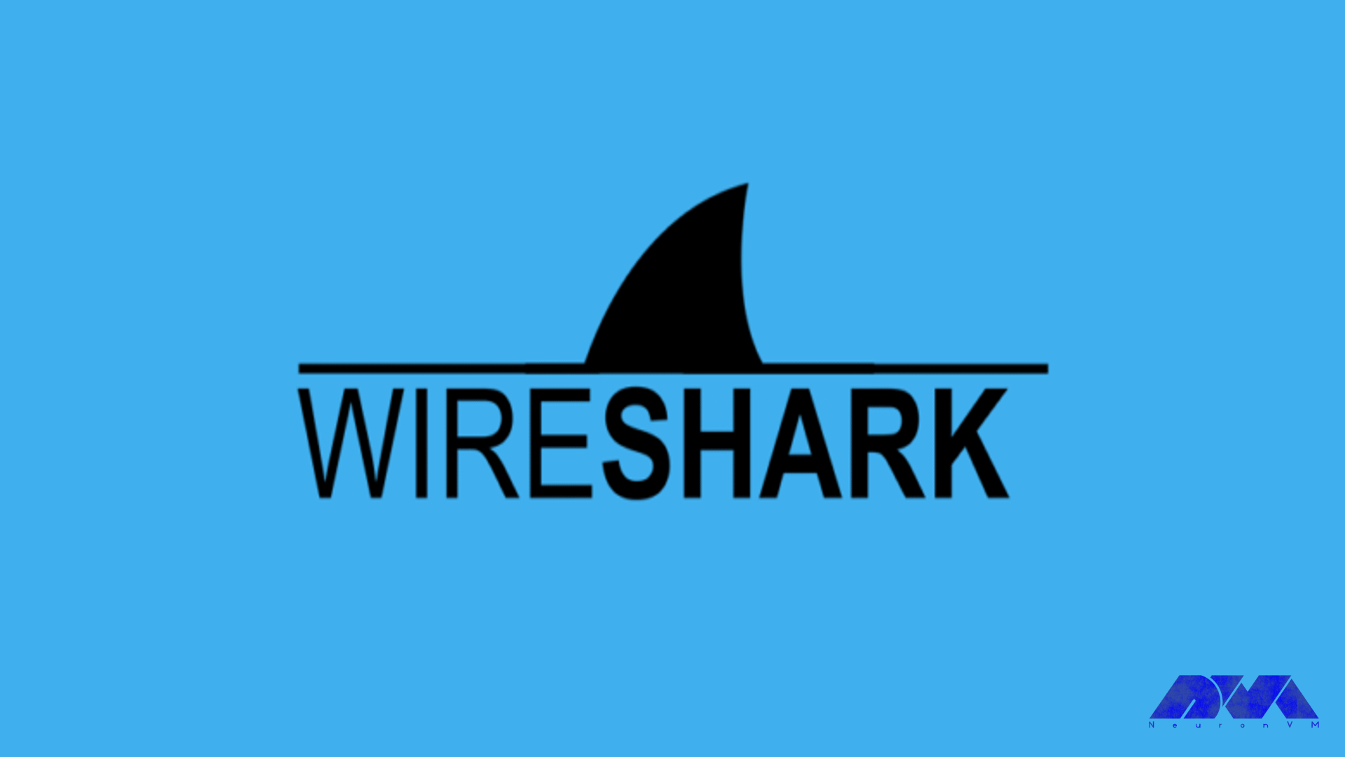 Wireshark: An Excellent Network Protocol Analyzer in Kali Linux ...