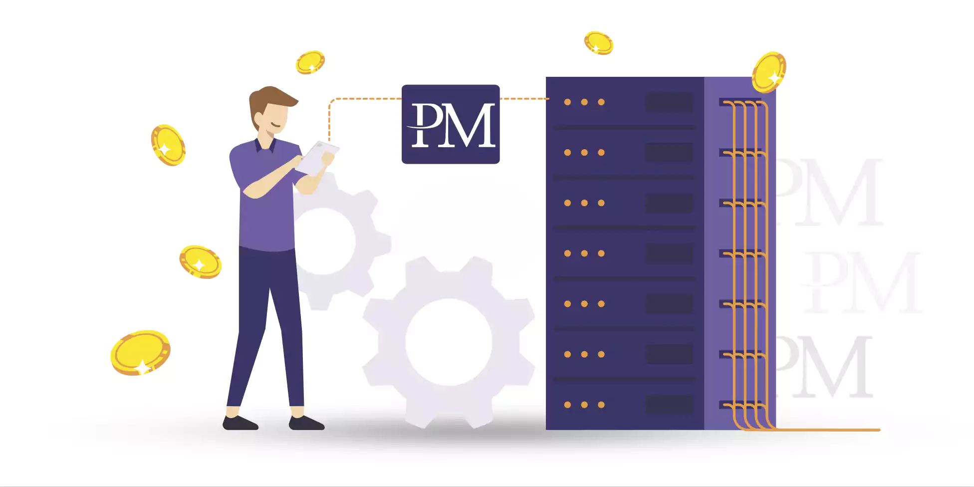 The Ultimate Guide to Buying Dedicated Server with Perfect Money ...